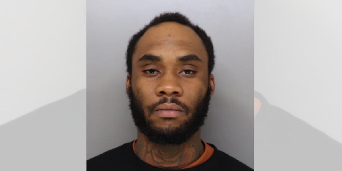 Man Who Shot Killed Pregnant Woman Pleads Guilty